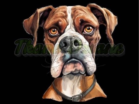 TkaneDziane.pl > PANEL DRUKOWANY DWA BOKSERY NR 6